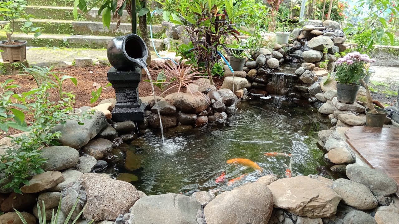 KOLAM IKAN KOI BATU ALAM/NATURAL !! - YouTube