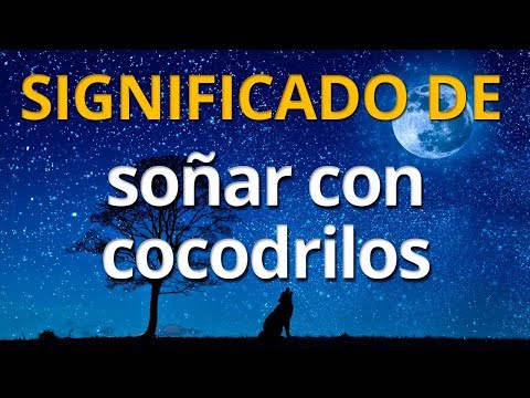 Qué significa soñar con cocodrilos 💤 Interpretación de los Sueños
