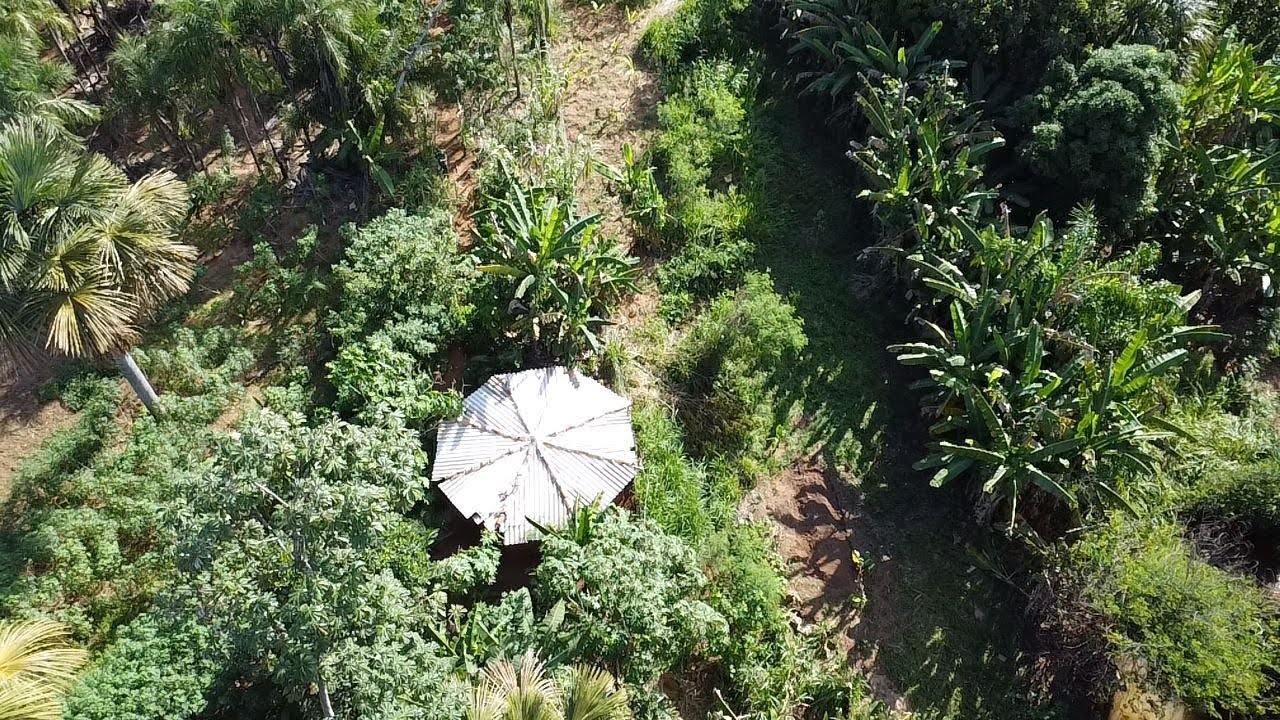 Vídeo oficial Instituto sol central - YouTube