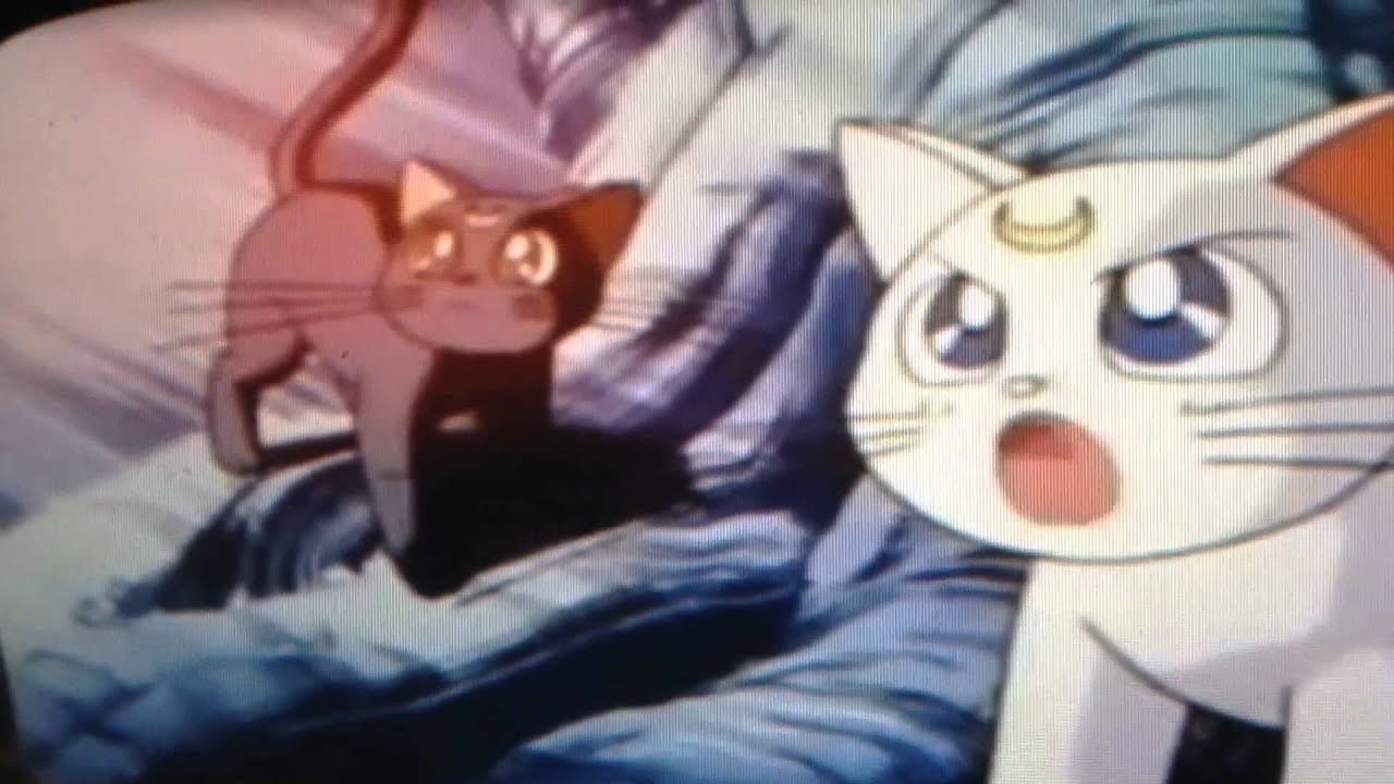 Sailor Moon Discovers She's the Moon Princess [English] - YouTube