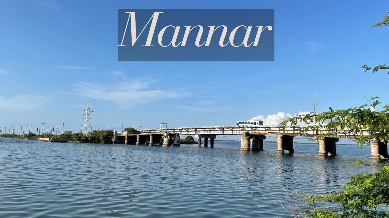Mannar Marvels: Flamingoes, Baobab Trees, and Scenic Wonders - YouTube
