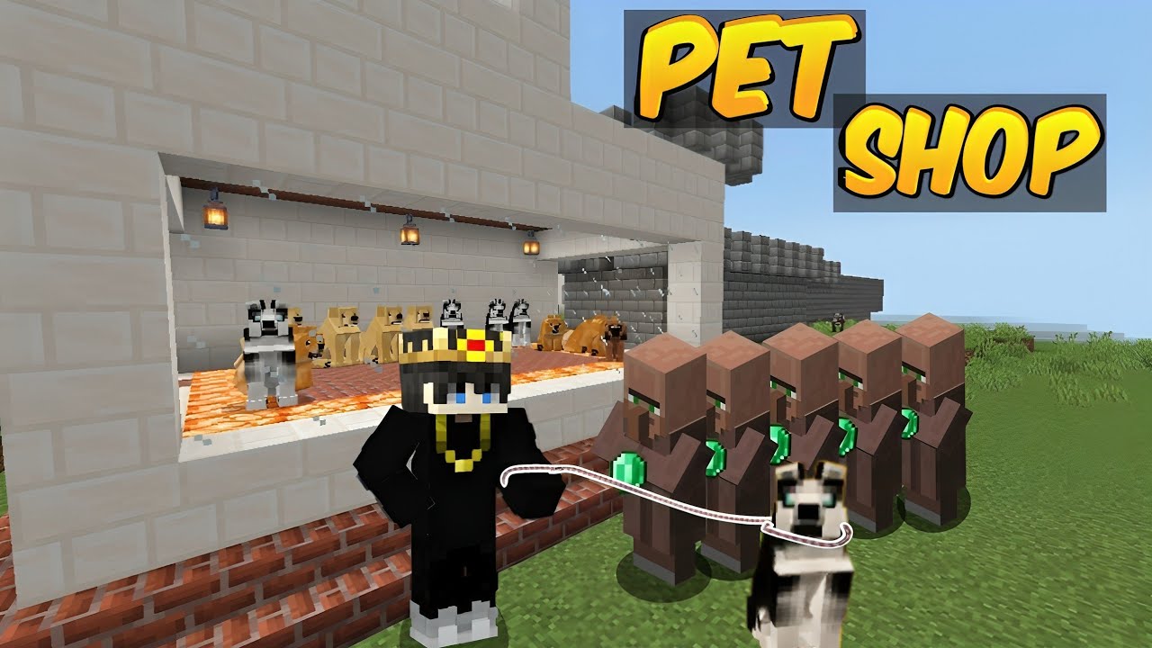 I Opened A Pet Shop In Minecraft 😱 |Pet Shop| - YouTube