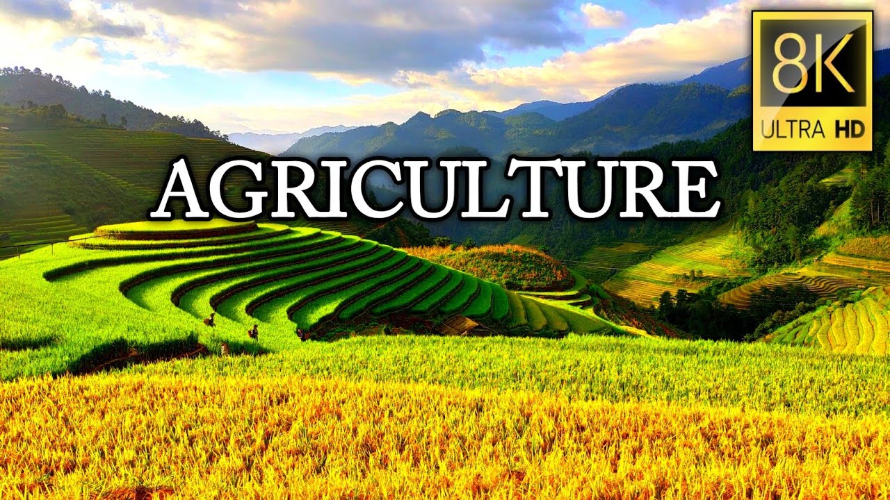 Agriculture Farming in 8K ULTRA HD/8K TV - YouTube