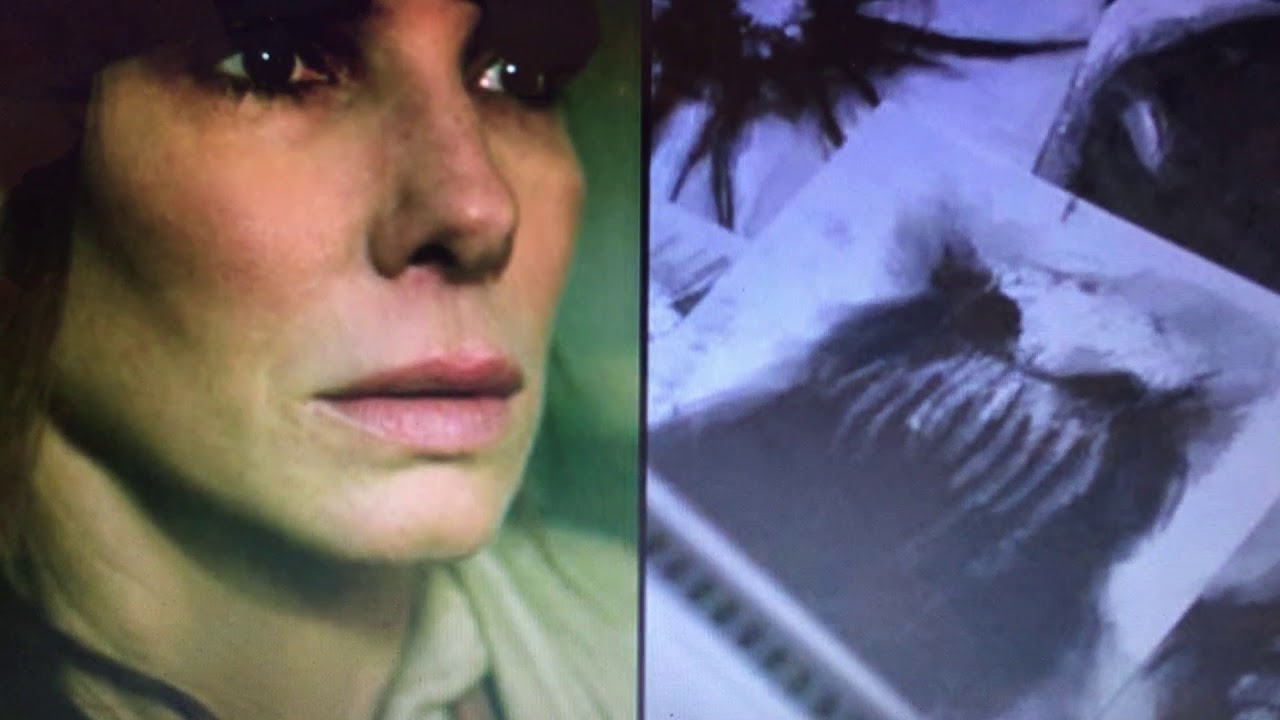 Bird Box Secret Picture Revealed! - YouTube
