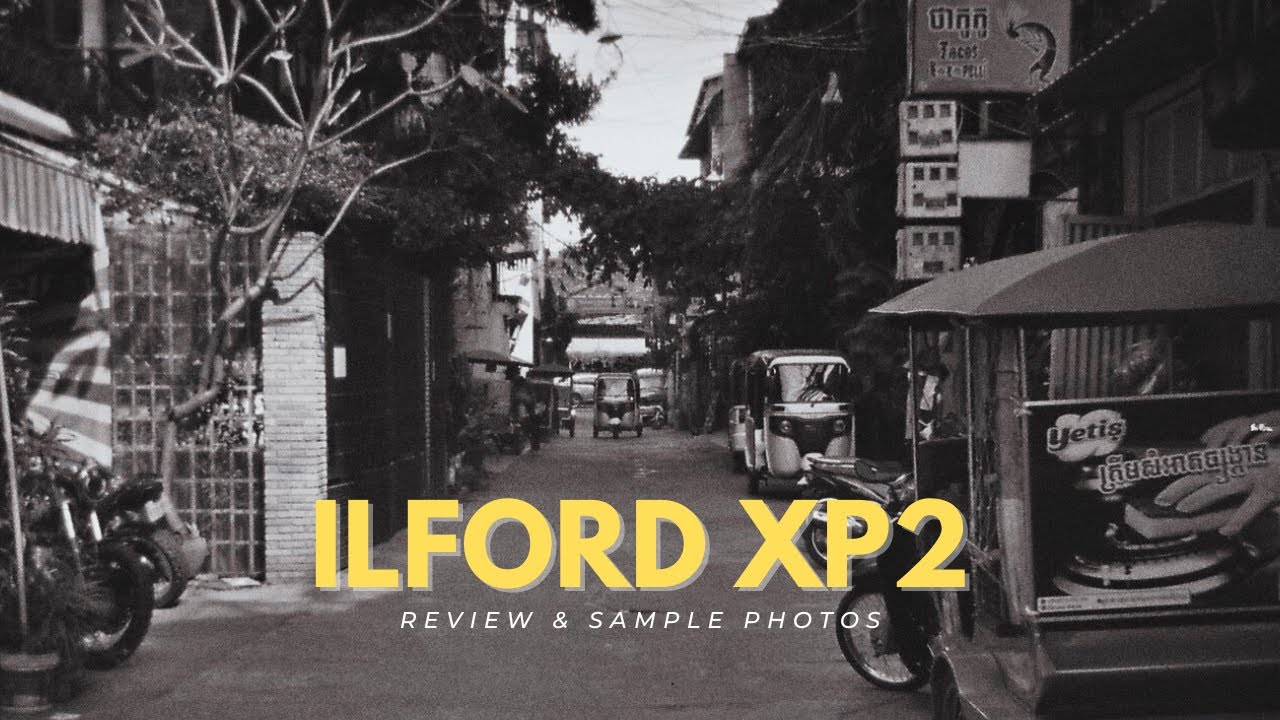 Ilford XP2 400 Disposable Camera | Review and Sample Photos - YouTube