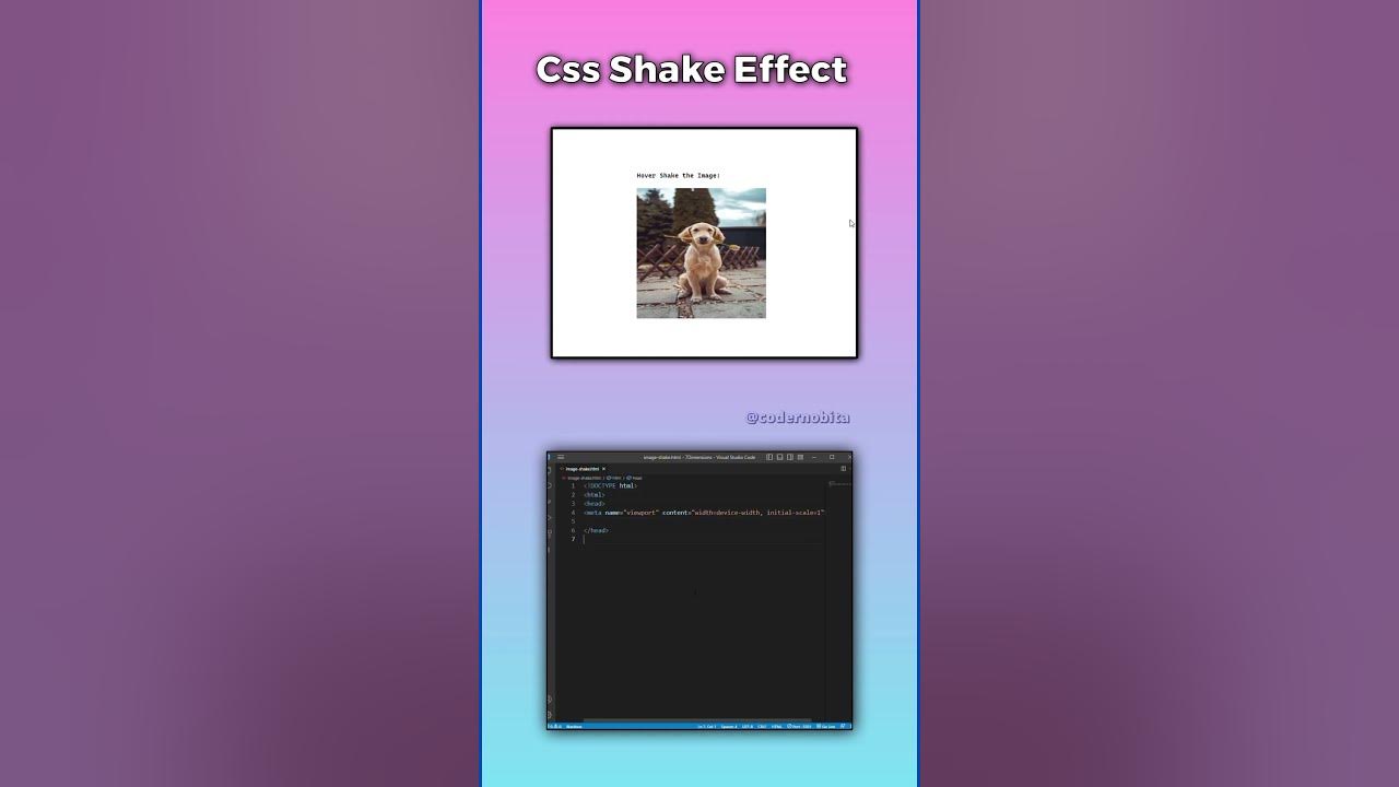How To Create Shake Css Effect Css Card Animation Effects Css