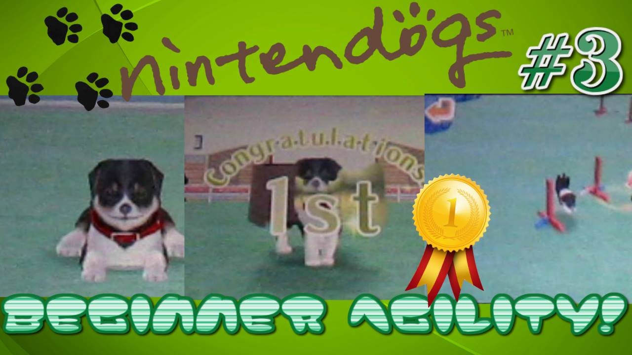 Nintendogs: Chihuahua and friends | Beginner Cup Agility! (#3) - YouTube