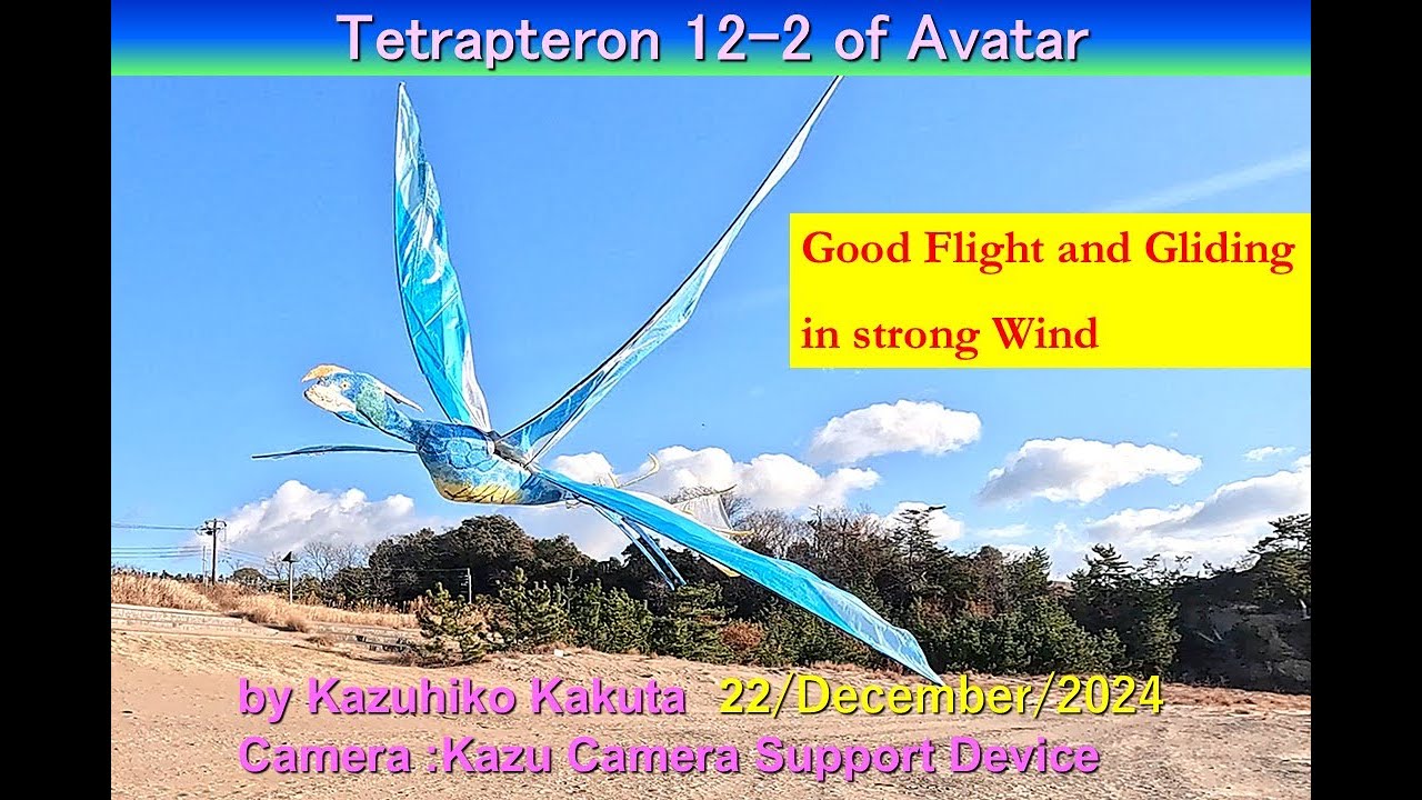 Tetrapteron12-2 of Avatar :Good Flight and Gliding in strong Wind - YouTube