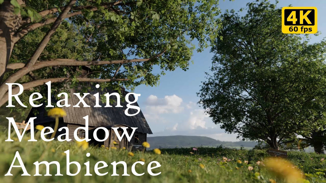 [4K60] Relaxing Meadow Scene | ASMR Meadow Ambience - YouTube