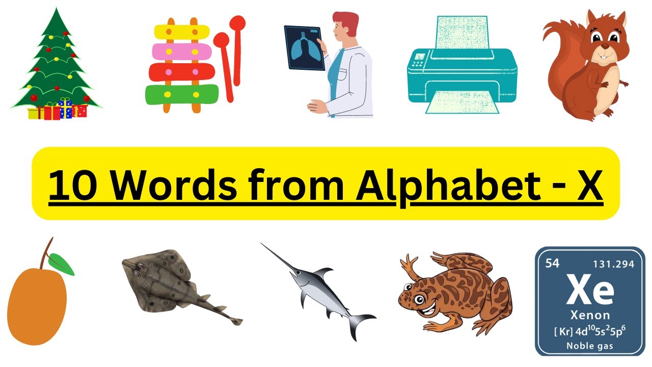 10 Words from Alphabet - X | Words from letter X | X words for kids | X ...