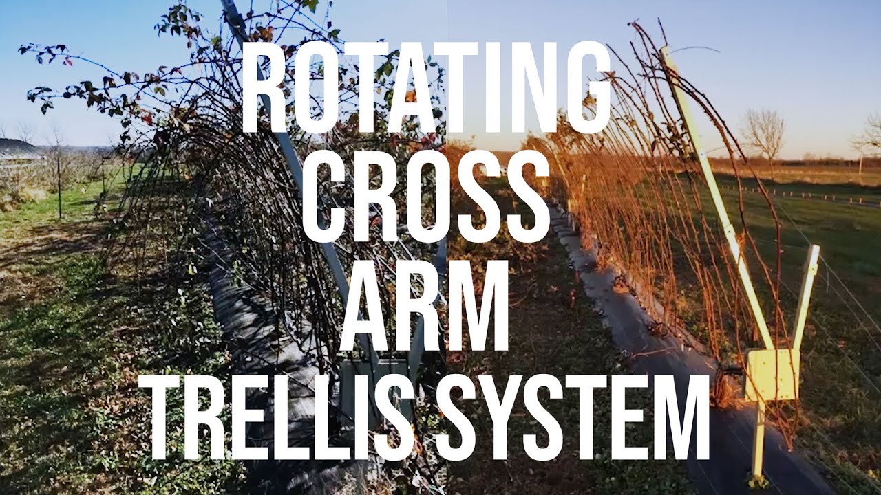 Rotating Cross Arm Trellis Systems - YouTube