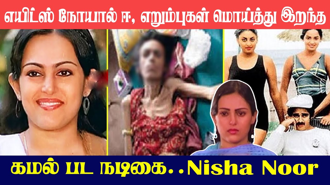 😔 Famous Actress Nisha Noor Life Story in Tamil - YouTube