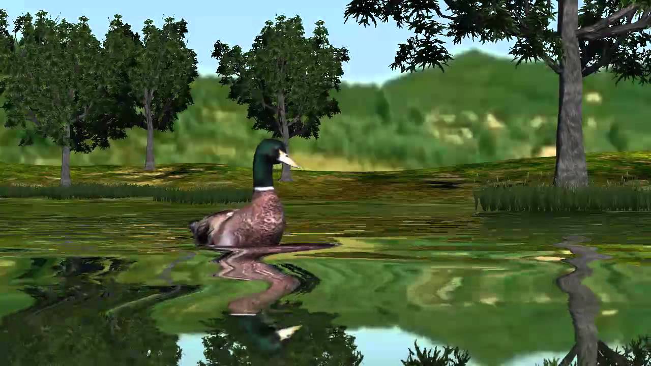 natural scene - preview video and green screen elements - free use ...