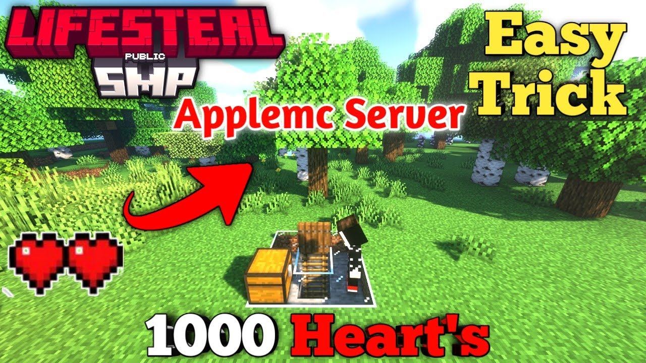 Best Trick to Get 1000 Heart's in Applemc Lifesteal SMP - YouTube