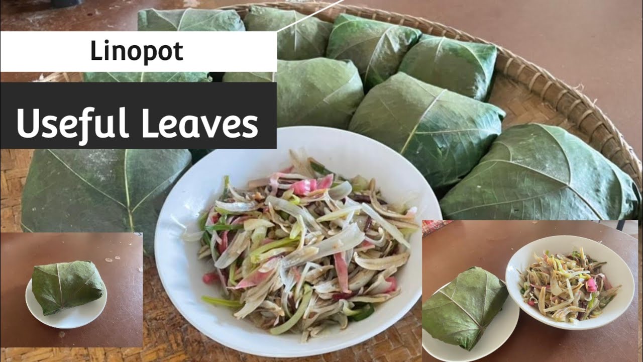 Linopot | Useful Leaves That Wrapped Rice with Yam Traditionally - YouTube