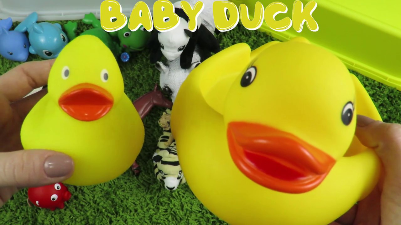 Baby Find Mom Toys Learn Animals Names and Sounds for Kids - YouTube