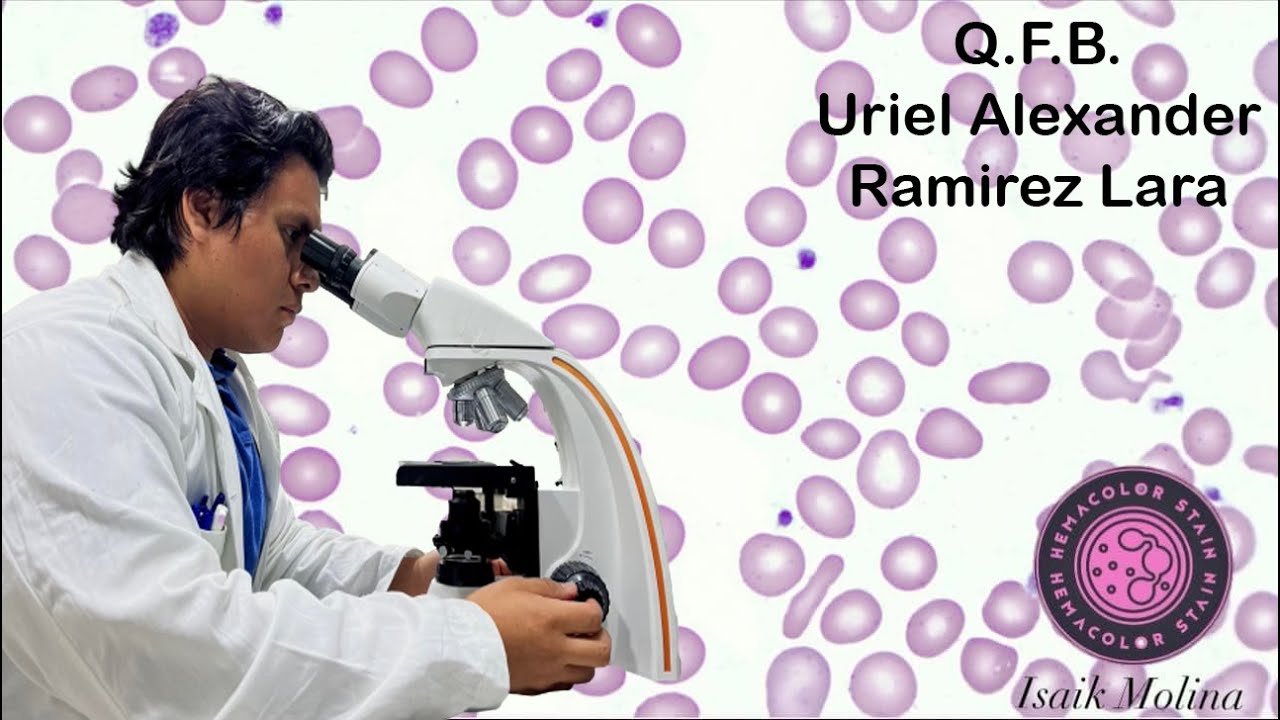 Morfología de los eritrocitos con el colorante HemaColor Stain - YouTube
