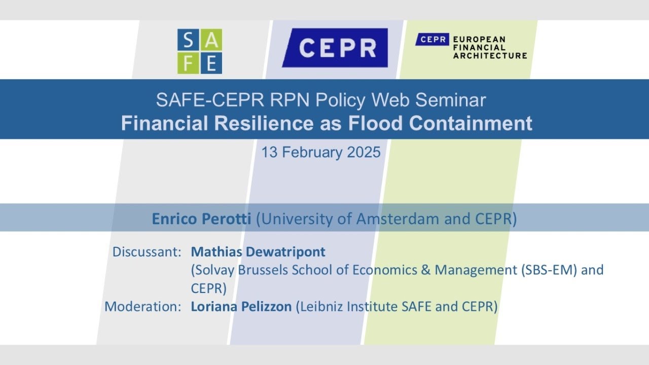 SAFE-CEPR Policy Web Seminar: Enrico Perotti (University of Amsterdam ...