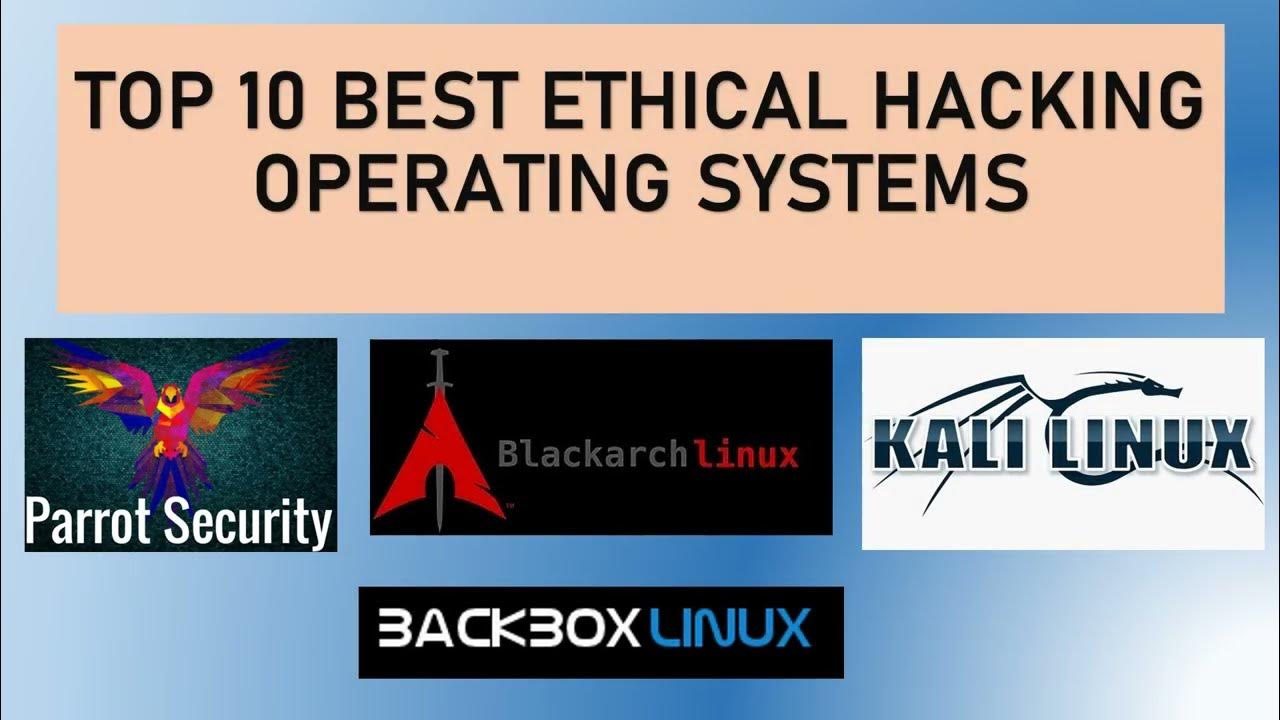 10 Best Hacking Operating Systems for 2023 - You Should Watch THIS ...