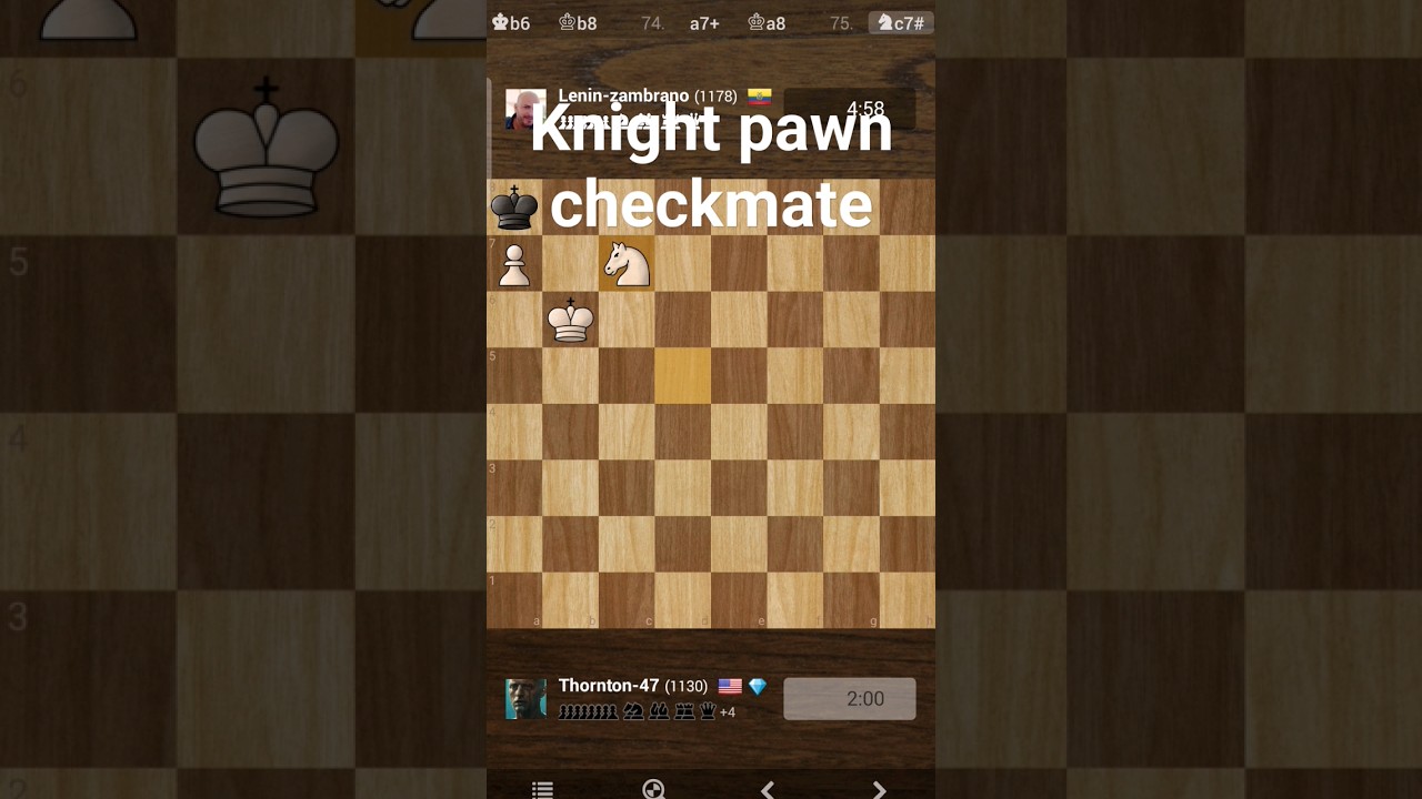 Yes, i can mate with a knight and a pawn #chess #chessgame #checkmate # ...