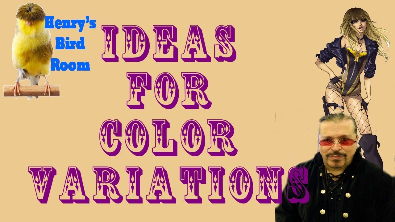 Ideas for Canary Color Variations | Henry's Bird Room - YouTube
