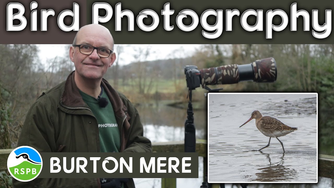 Wild Bird Photography at RSPB Burton Mere Wetlands NAture Reserve - YouTube