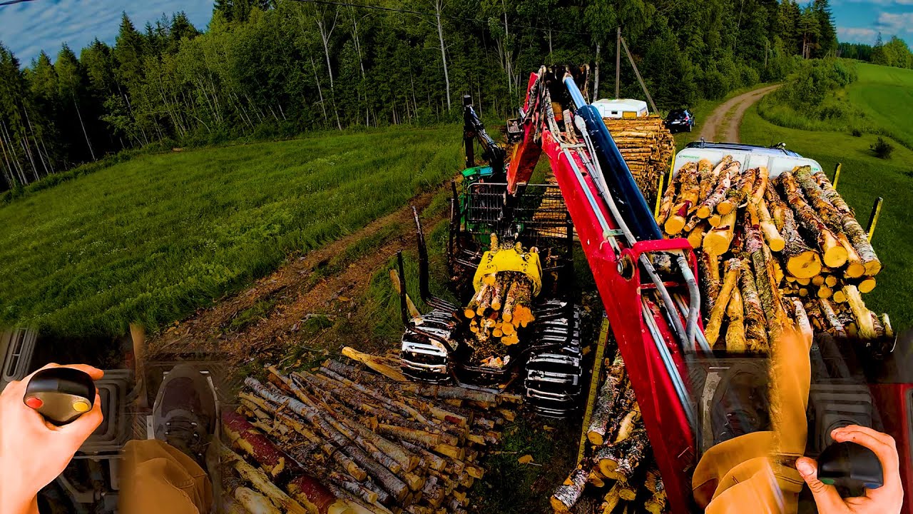 Long Reversing & Loading Birch Pulpwood - YouTube