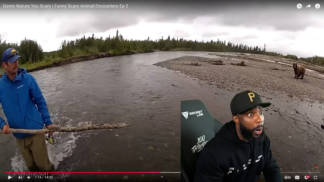 DANG! Nature You Scary | Funny Scary Animal Encounters Reaction! - YouTube