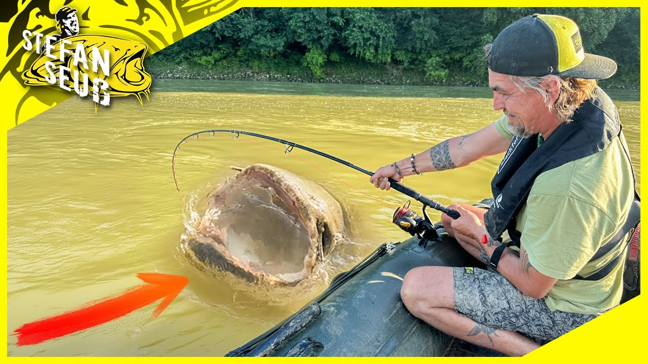 Ich fange Godzilla | Ein UR-WELS Monster vom WILDEN FLUSS 😱 - YouTube