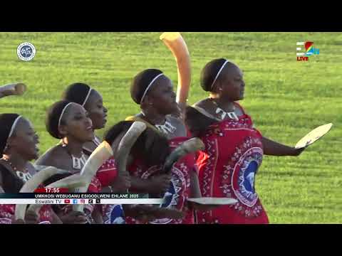 Umbutfo Eswatini Defense Force entering the arena at Hlane Royal ...
