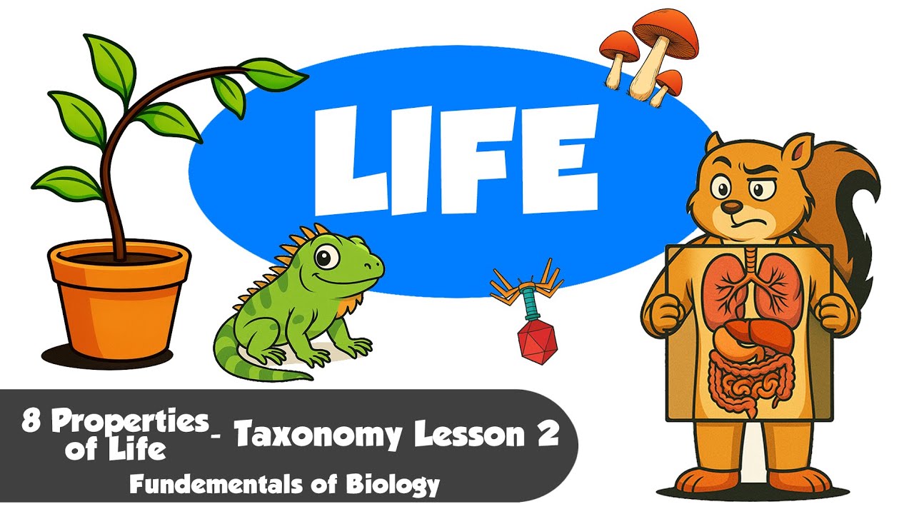 8 Properties of Life | Taxonomy Unit - Lesson 2 - YouTube