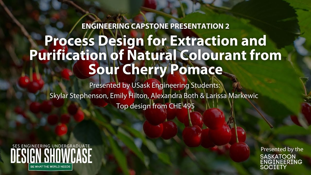 Process Design for Extraction and Purification of Natural Colourant ...