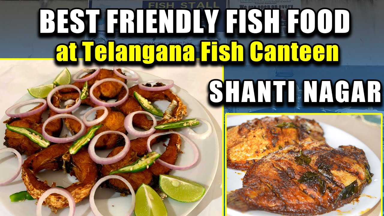 BEST FISH FOOD at Telangana Fish Canteen | Shantinagar | Food Vlog ...