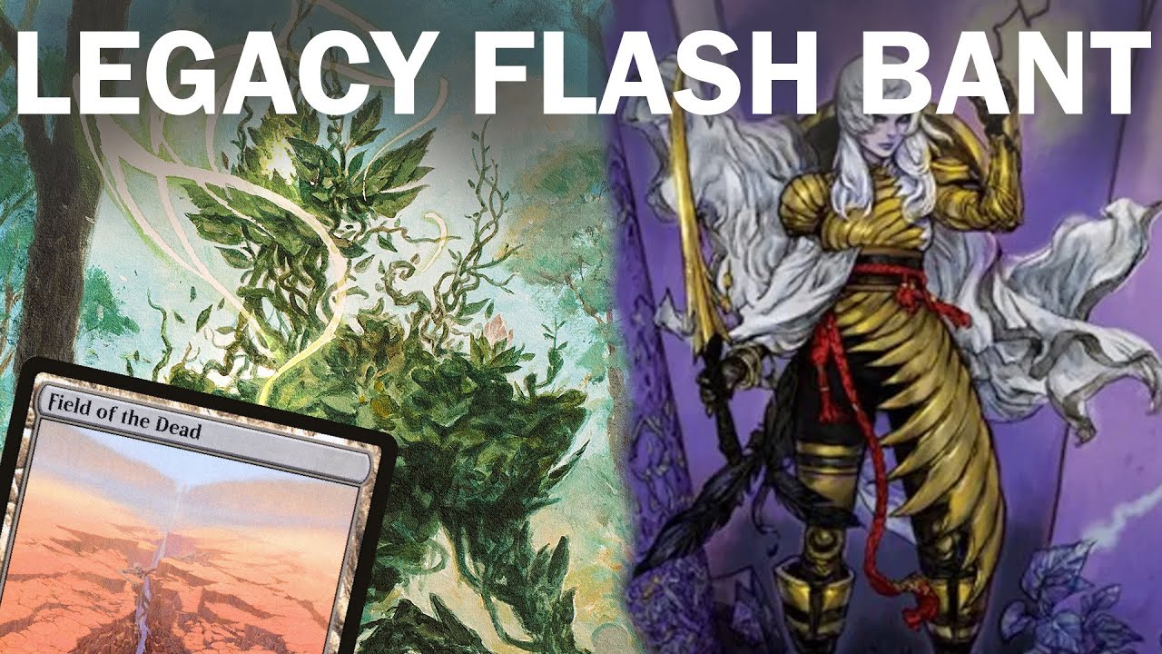 IN A FLASH... Legacy Flash Loam Bant. Hybrid Control with Field of the ...