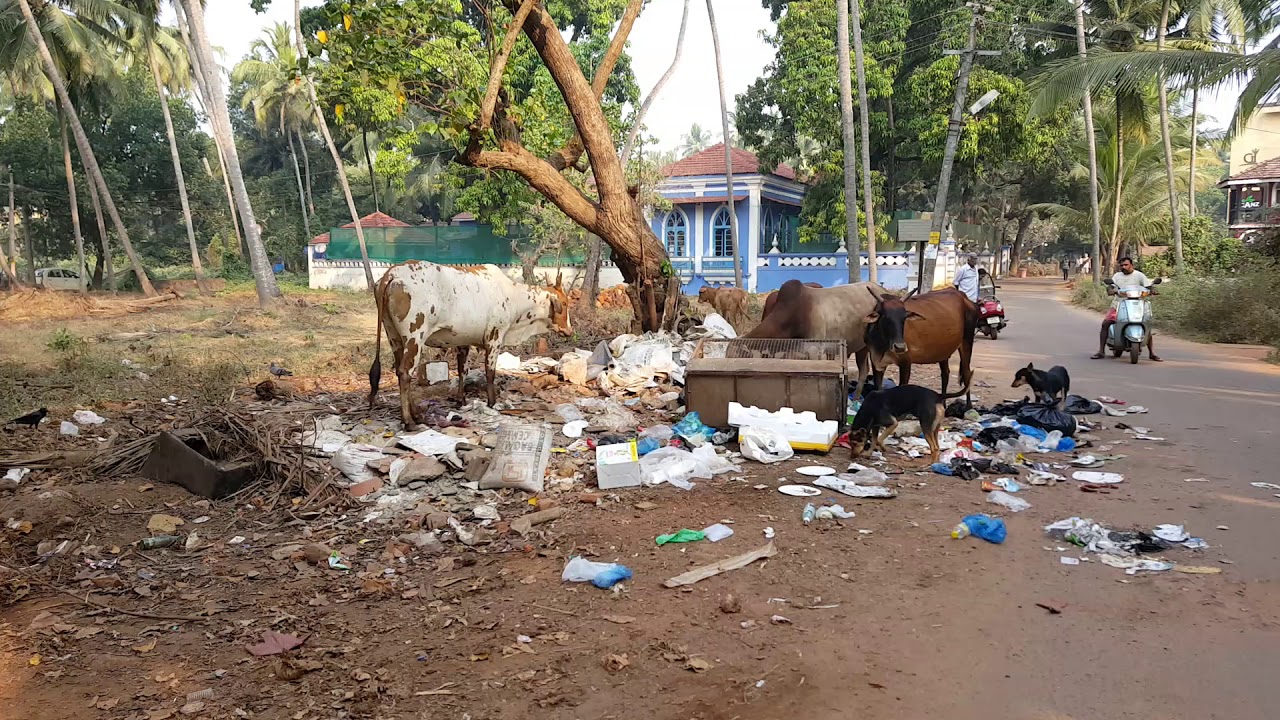 Waste management in Goa 2018 January - YouTube