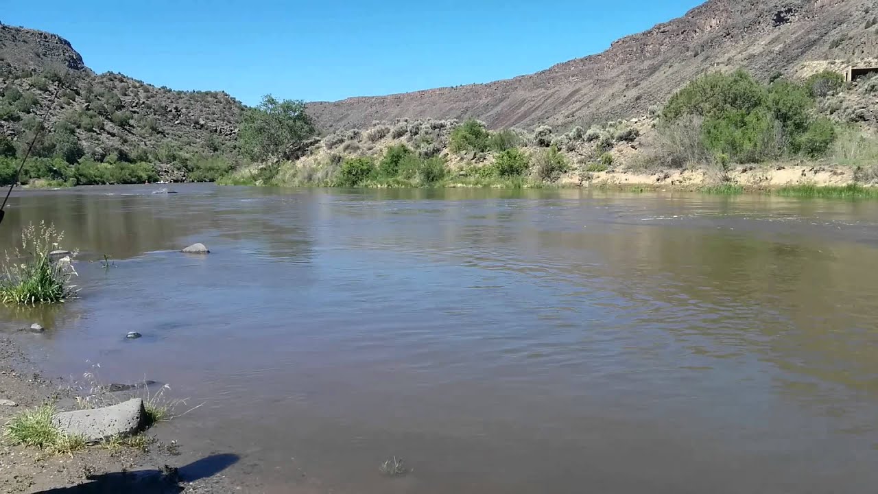 Dave and Papa Fishing, Pilar NM(10) - YouTube
