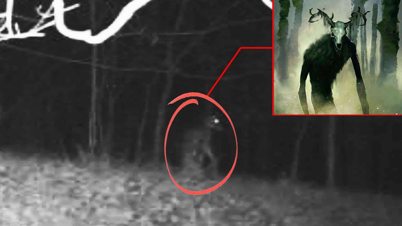 20 Terrifying Cryptids From Around the World - YouTube