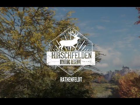 HCOTW: Stream Alert - YouTube