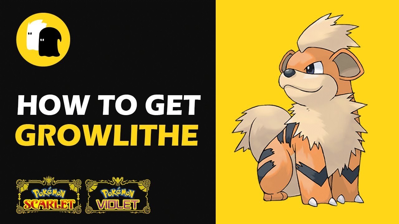 How to Get Growlithe Pokemon Scarlet and Violet - YouTube