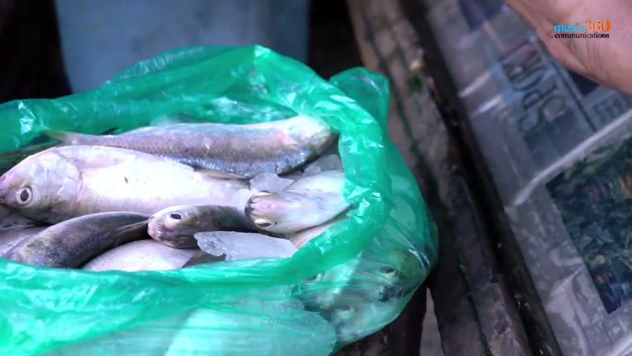 Machali Pala oar Sindhu Darya | Video on Fish Pala and seasons - YouTube