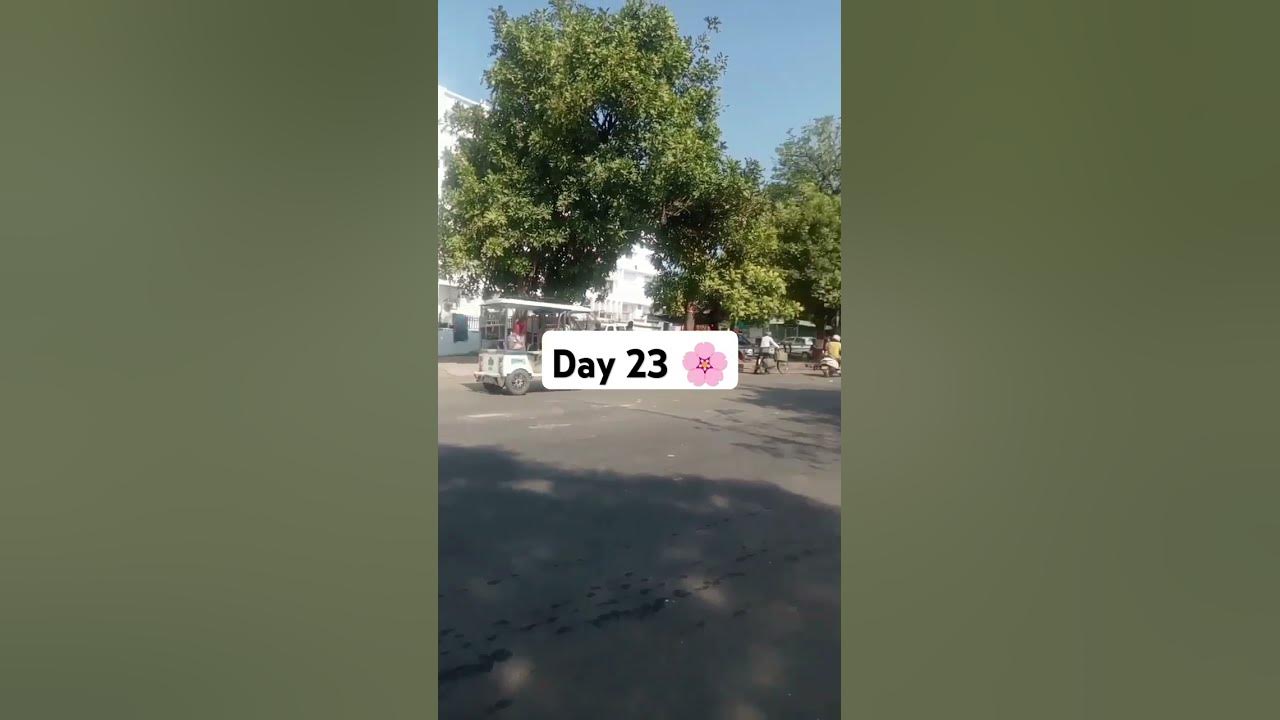 Day 23 🌸 ️🕊️ #myday #study #motivation #enjoythenatureoftheworld - YouTube