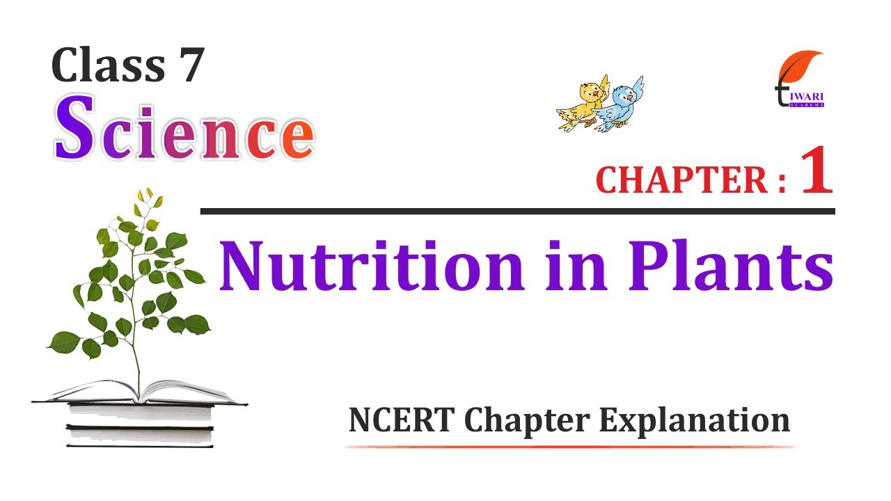 NCERT Solutions For Class 7 Science Chapter 1 YouTube ncert-solutions-for-class-7-science-chapter-1-youtube