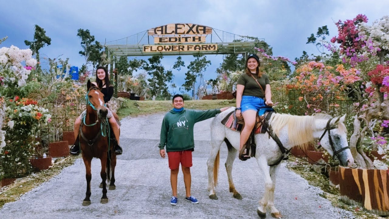 Horse Backriding at Edith Flower Garden and Kangcaramel Cave | Baclayon ...