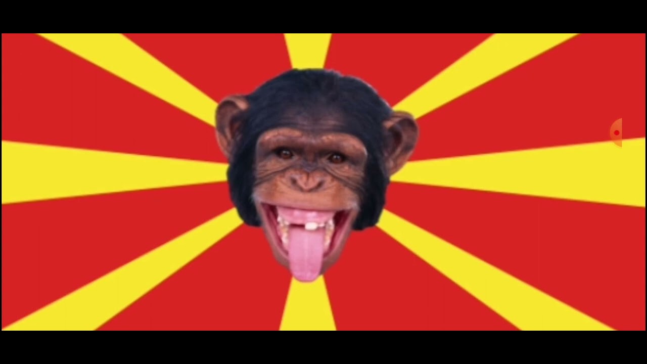 Monkeydonia national anthem - YouTube