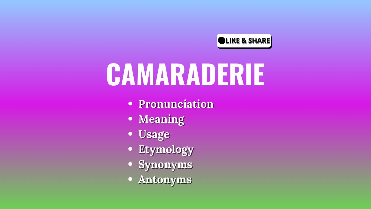 What Does Camaraderie Mean? | Word of the Day Explained - YouTube