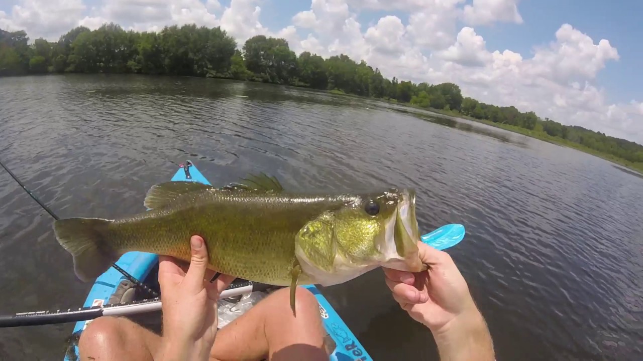 First time with 20lb stringer of Bass at Lake Pinkston! - YouTube
