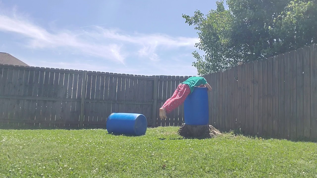 Low Back Prehab/Rehab: Reverse Leg Lift Holds - YouTube