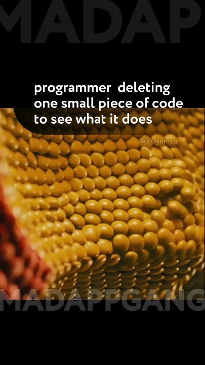 Even tiny code changes can cause chaos #shorts #codinghumor #developerlife #codingproblems - YouTube