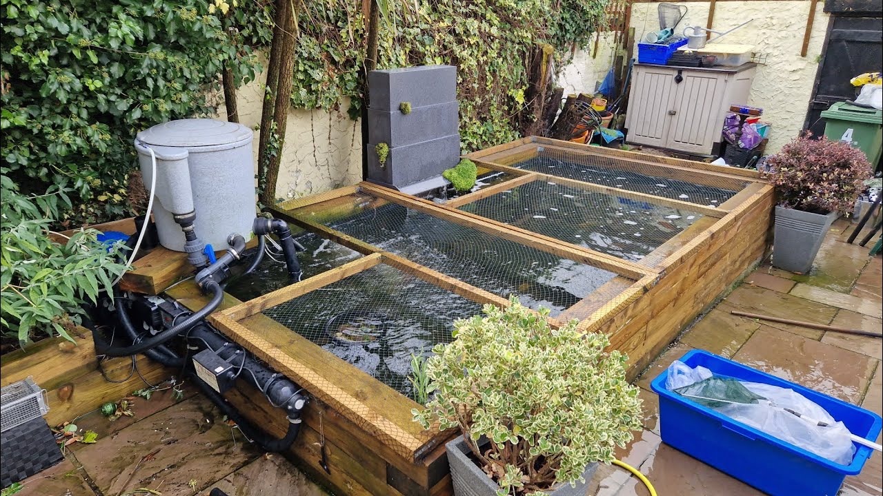 Bakki shower installation, net adaptation, Koi inspection/health check ...