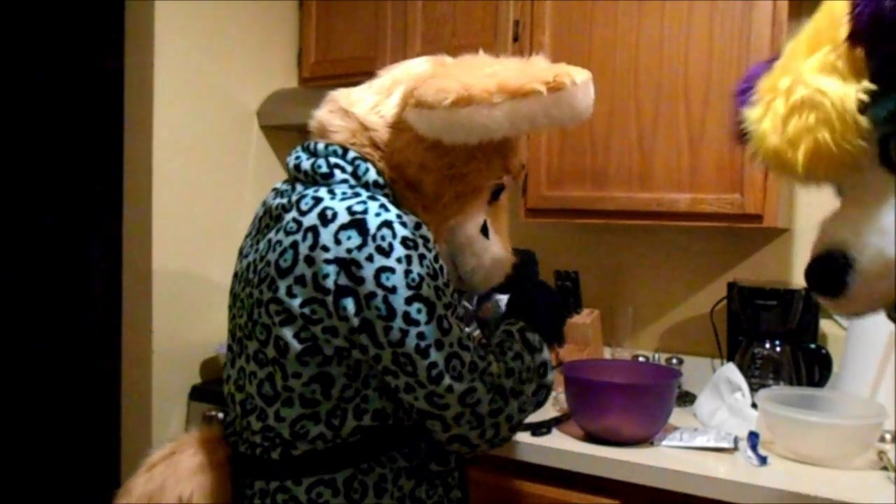 Furry cooking - YouTube